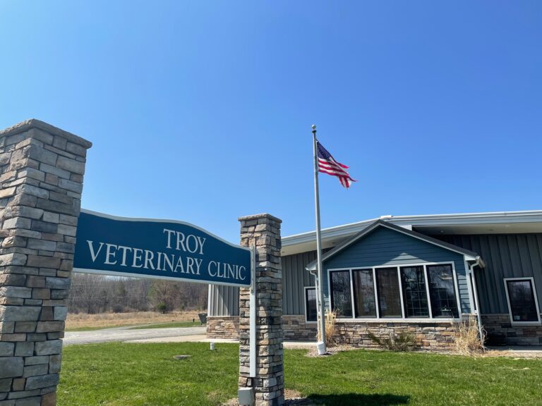 Home - https://troyvetclinic.com/
