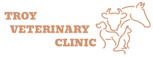 Veterinarian in Troy, PA | Troy Veterinary Clinic